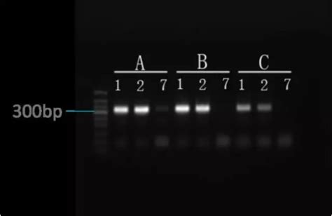 Qpcr原理以及数据处理