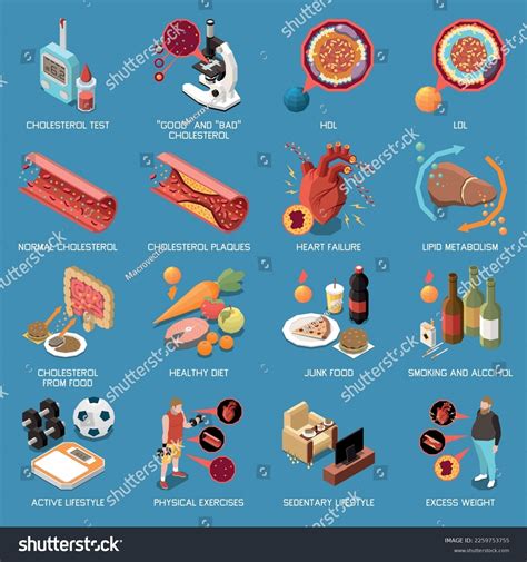 Cholesterol Isometric Icons Set Hdl Ldl Stock Vector Royalty Free 2259753755 Shutterstock