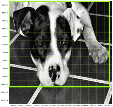 Implementing Yolov2 From Scratch Using Tensorflow 20 Vivek Maskara