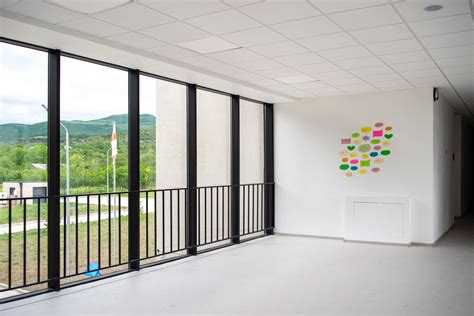 სოფელ მეჯვრისხევის სკოლა Insi