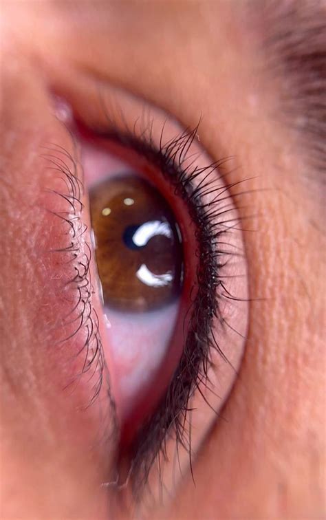 هزینه تتوی بن مژه در تهران چچیلاس