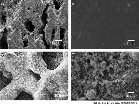 Porous Ceramic Supported Tio2 Nanoparticles Enhanced Photocatalytic