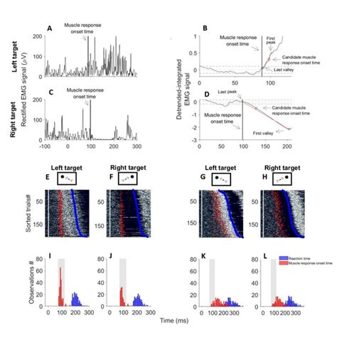 A Schematic Diagram Of The Timeline Of Events In The Target Paradigm Download Scientific