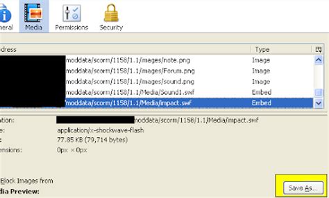 How To Save Flash Files Of Websites Using Mozilla Firefox Blogger