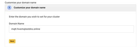 Customize Mqtt Broker Domain Name On Hivemq Cloud Starter