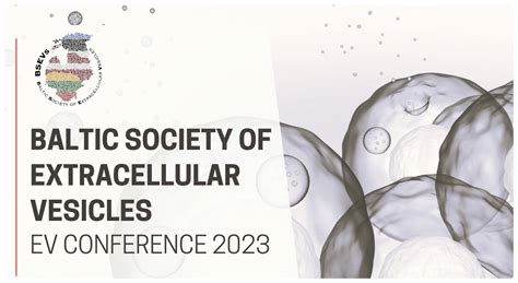 Baltic Society Of Extracellular Vesicles Bsev Ev Conference 2023