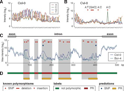 Figure 11 From Machine Learning Algorithms For The Analysis Of Data From Whole Genome Tiling