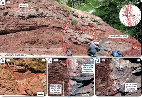 Structural Station N 6 Extensional And Transpressional Faults Within Download Scientific