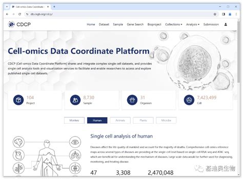分享18个单细胞数据分析数据库 基因 类型