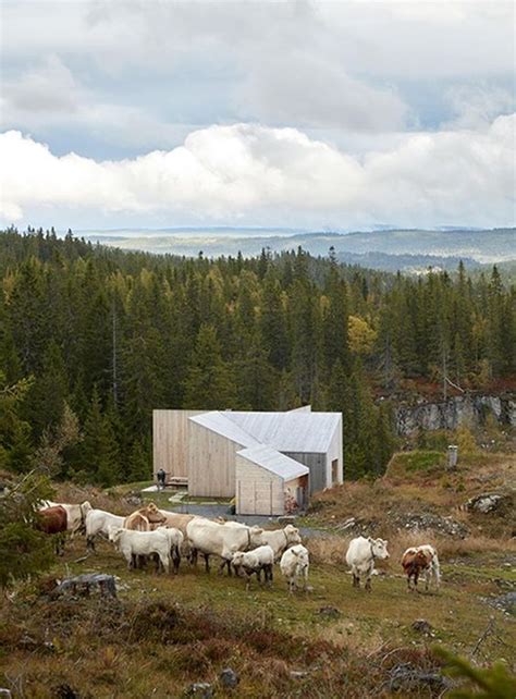 Modern Cabin In The Woods Skandinavisk Arkitektur Utsikt Trä