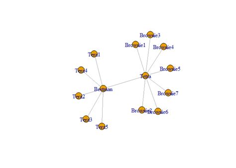 R How To Make Two Networks Connected With Selected Members Stack Overflow