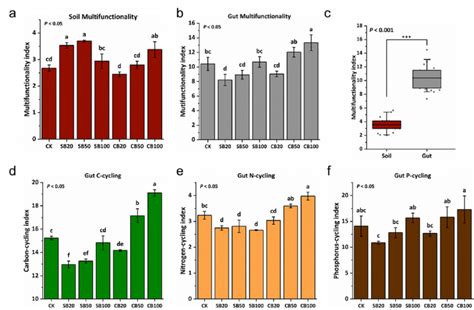 Effects Of Biochar Amendment Treatments On The Microbial Download Scientific Diagram
