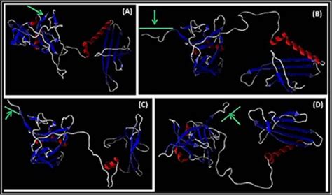 Three Dimensional Representation Of Structures Prediction Of The Wild Download Scientific
