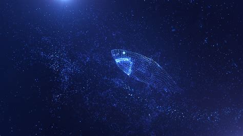 Trapcode Form Particle Life On Behance