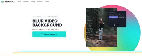 online apps to blur video background