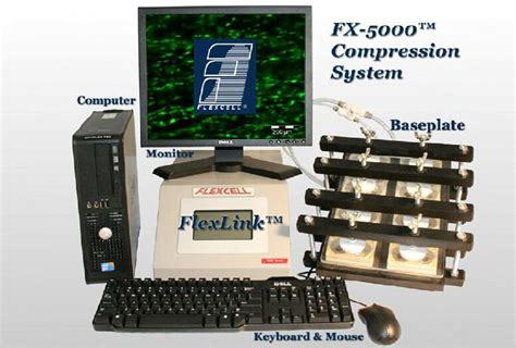 Flexcell Fx 5000c Compression System Hong Kong Services Or Others Analysis Instrument Flexcell Fx 5000c Compression System Hong Kong Services Or Others Analysis Instrument