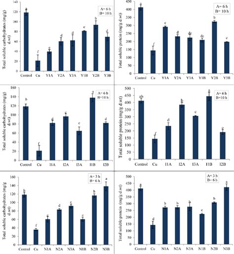 Effect Of Seed Priming With Yeast Extract Y125 Y250 Y3100