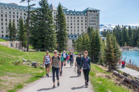 Things To Know Before Hiking Lake Agnes Tea House Destinationless Travel