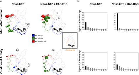 Figure S4 Nras Gtp Principal Eigenvector Of The Mutual Information
