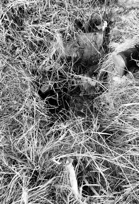 សាកសពជនបរទេសម្នាក់ត្រូវបានគេប្រទះឃើញនៅក្នុងលូ សារព័ត៌មាន នគរវត្ត