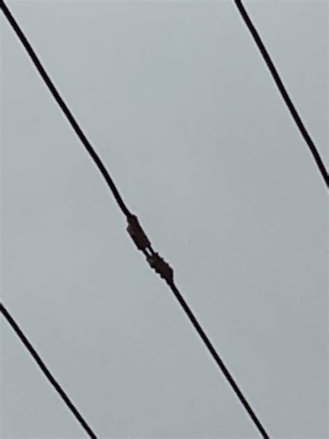 Bdgd2 Object Detection Dataset And Pre Trained Model By Bdpc Ai Gd2