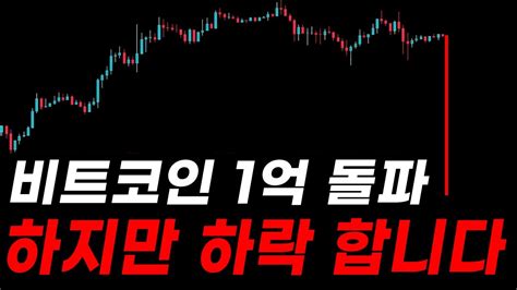 비트코인 1억 돌파 하지만 하락 합니다 Youtube