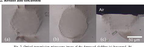 Figure 2 From Femtosecond Laser Inscribed Cladding Waveguides In Ndyag