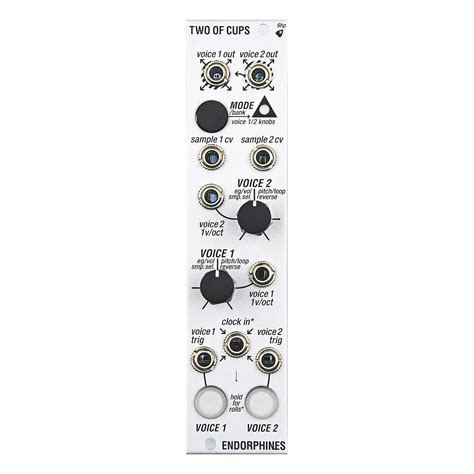 Endorphines Two Of Cups Eurorack Synth Module Reverb Canada