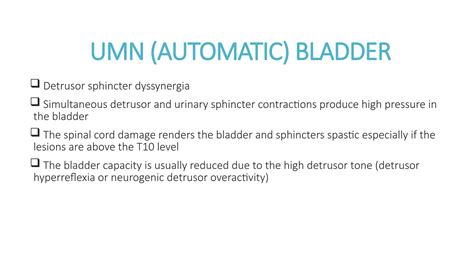 Various Types Of Bladder Dysfunction Pptx