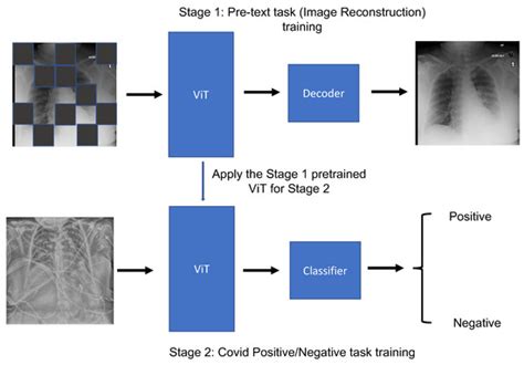 Self-Supervised Learning Application on COVID-19 Chest X-ray Image Classification Using Masked ...