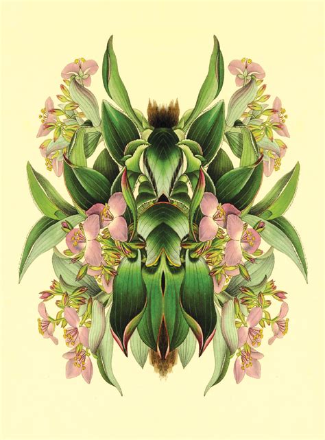 botanic object bug watercolor greeting card by masha d yansmasha