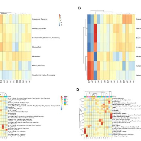 Heatmap Of Bacterial And Fungal Function Prediction A B Function Download Scientific Diagram