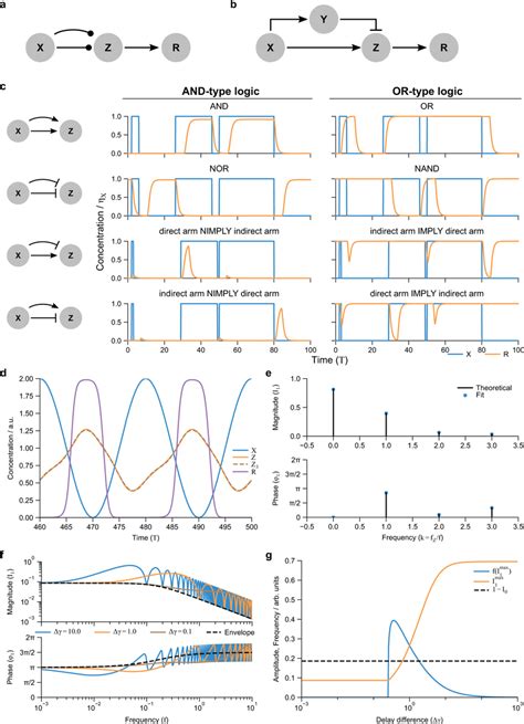 The Feedforward Network Motif Owes Its Primary Functions To A The Feedforward Network Motif Owes Its Primary Functions To A