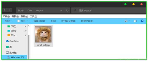 【simpleitk 学习笔记】01安装与图像读写simpleitk Readimage C Csdn博客