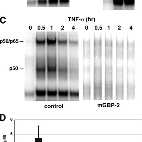Structure And Activity Of Eht Compounds A Structures Of Eht
