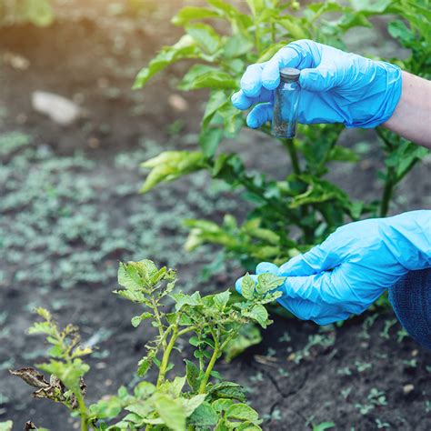 Adding Convenience To Environmental Field Filtration Knf