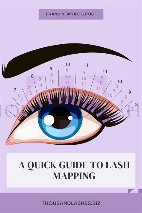 A QUICK GUIDE TO LASH MAPPING Lash Mapping Is A Form Of Under Eye Pad