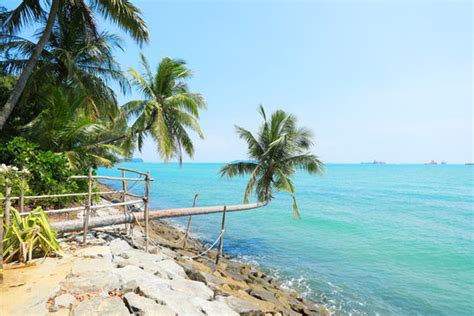 Baunti Images Browse 6 Stock Photos Vectors And Video Adobe Stock