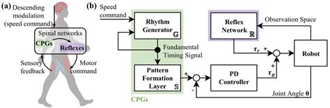 Generative Ai That Imitates Human Motion Tech Briefs