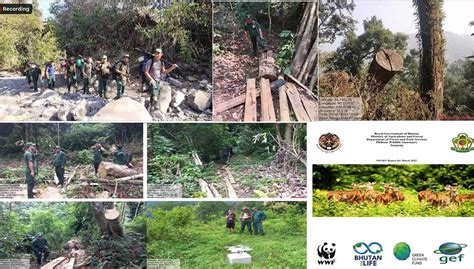 Arvind Kumar Chaurasia On Linkedin Technology Revolutionises Wildlife
