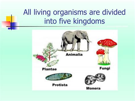 Ppt The Five Kingdoms Of Living Organisms Powerpoint Presentation