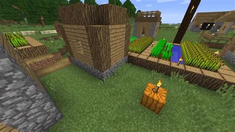 the villager project i just wanted to keep them safe minecraft java