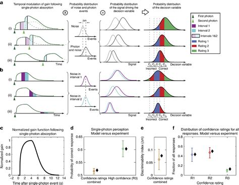Image Sensors World Single Photon Detection By Human Eye
