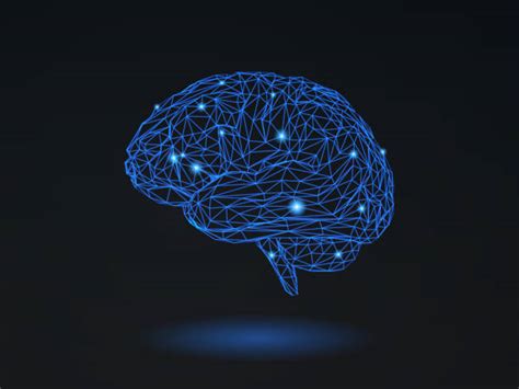 Human Brain X Ray Illustrations Royalty Free Vector Graphics And Clip Art Istock