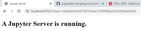 On Windows Launching Jupyter Server Doesnt Open A Browser Page Is It Normal · Issue 311
