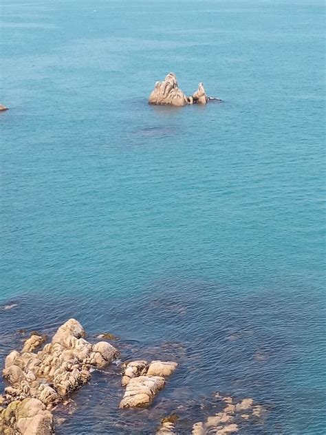 오늘도 즐거운 하루 되세요 자연풍경 캐시피드