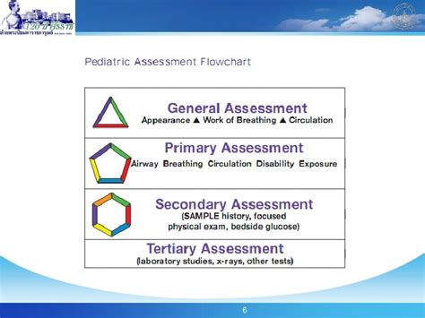 Examples Of Diagnostic Assessment Pals At Alexander Collicott Blog