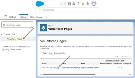 Visualforce Page With Custom Controller Example And Overview☁️