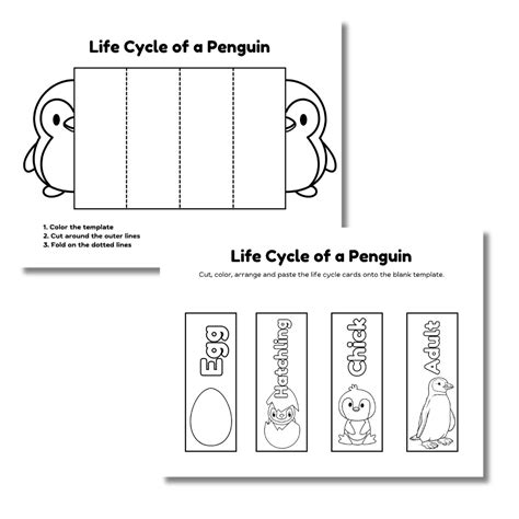 Cut And Color Chicken Life Cycle Digital Bakerie Shop