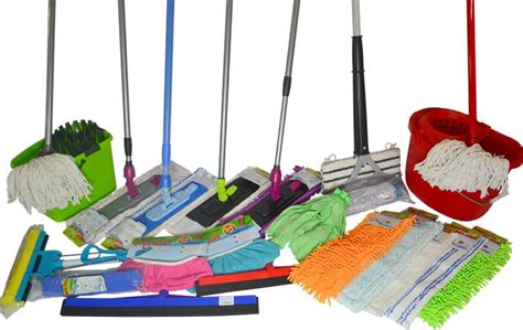 Here Are The Different Types Of Mops And Their Uses Toronto Times